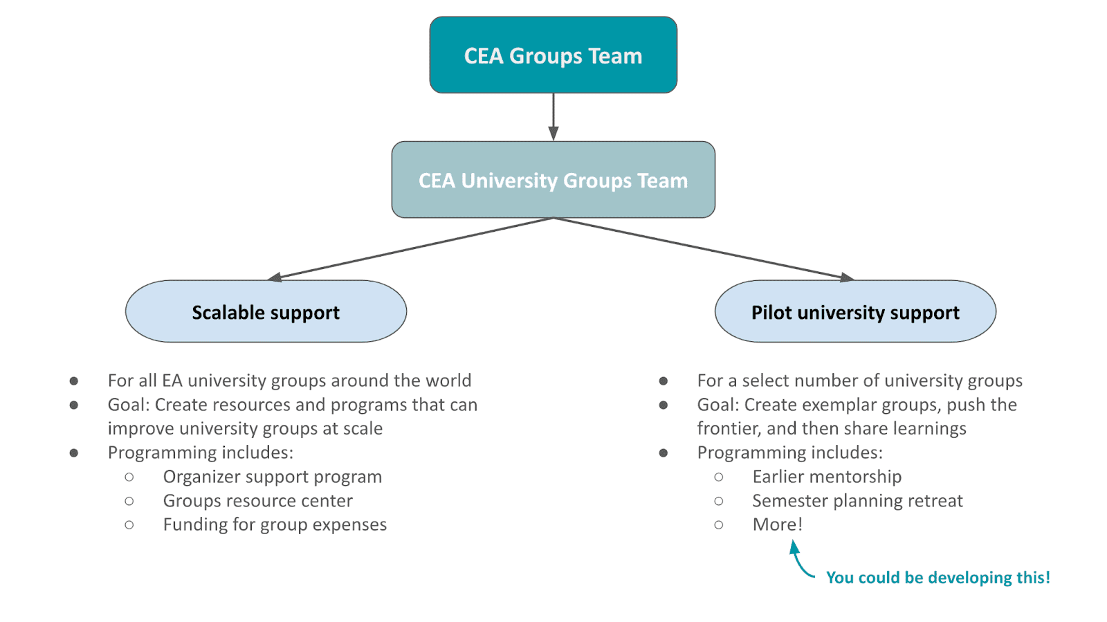 Updates on CEA’s Pilot University Program — EA Forum