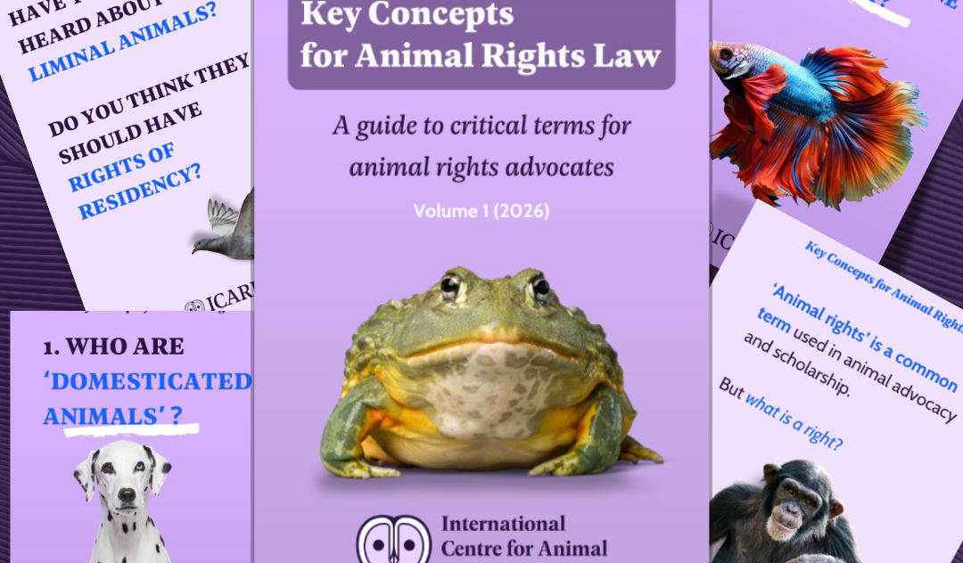 New ICARE resource: Key Concepts for Animal Rights Law (Vol. 1) — EA Forum