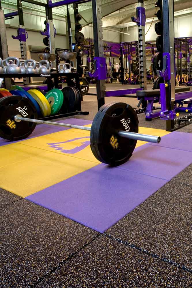 Sports Flooring By Cefloors | CAPITAL CARPET