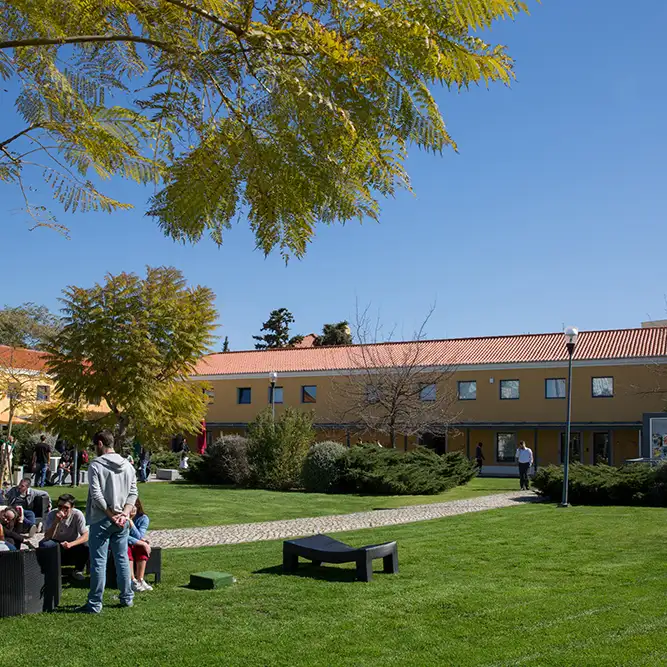 About us - The Marketing School | IPAM Lisbon