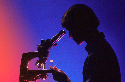 Easy Informative Script Template | Speakflow