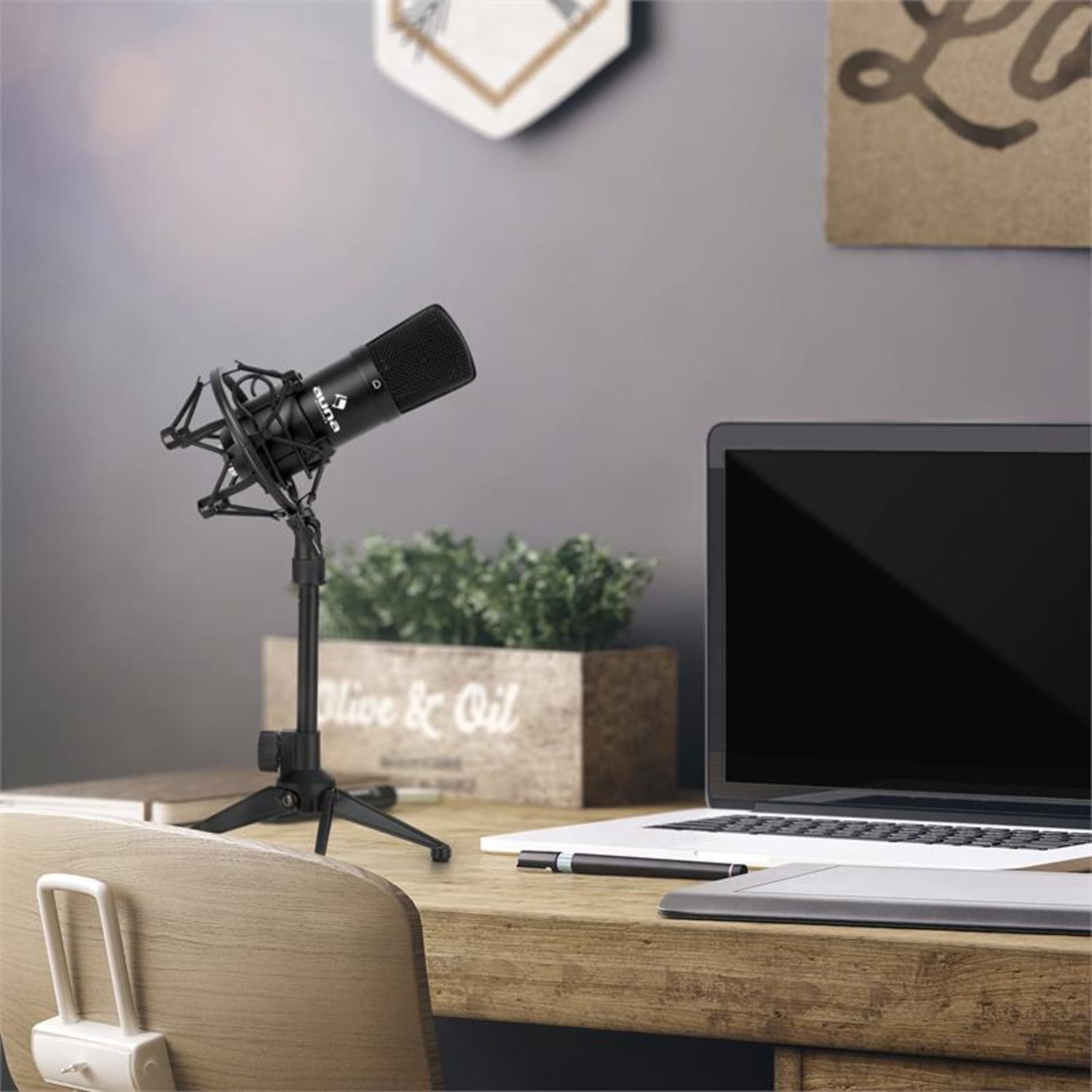 CM001B Microphone Set V1 - Black Studio Microphone with Shock Mount ...