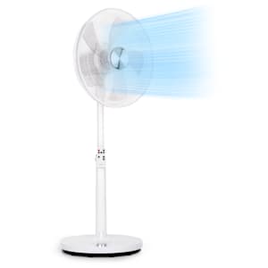 Stand Fans & Pedestal Fans for Sale online | Klarstein