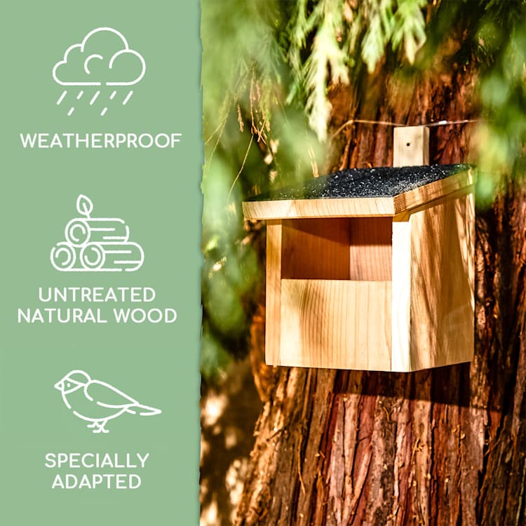 Nesting box for half-cave breeders hanger asphalt roof red cedar wood
