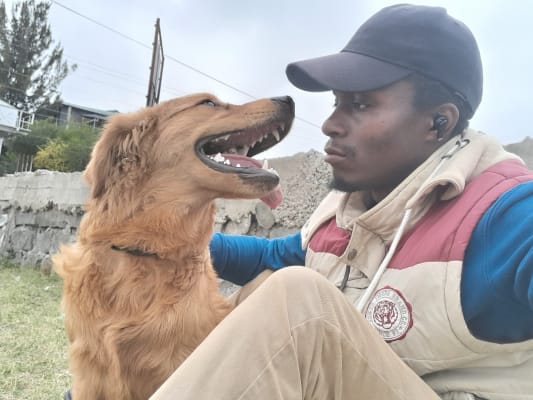 Chaka Boy Dog Training Comeback | M-Changa