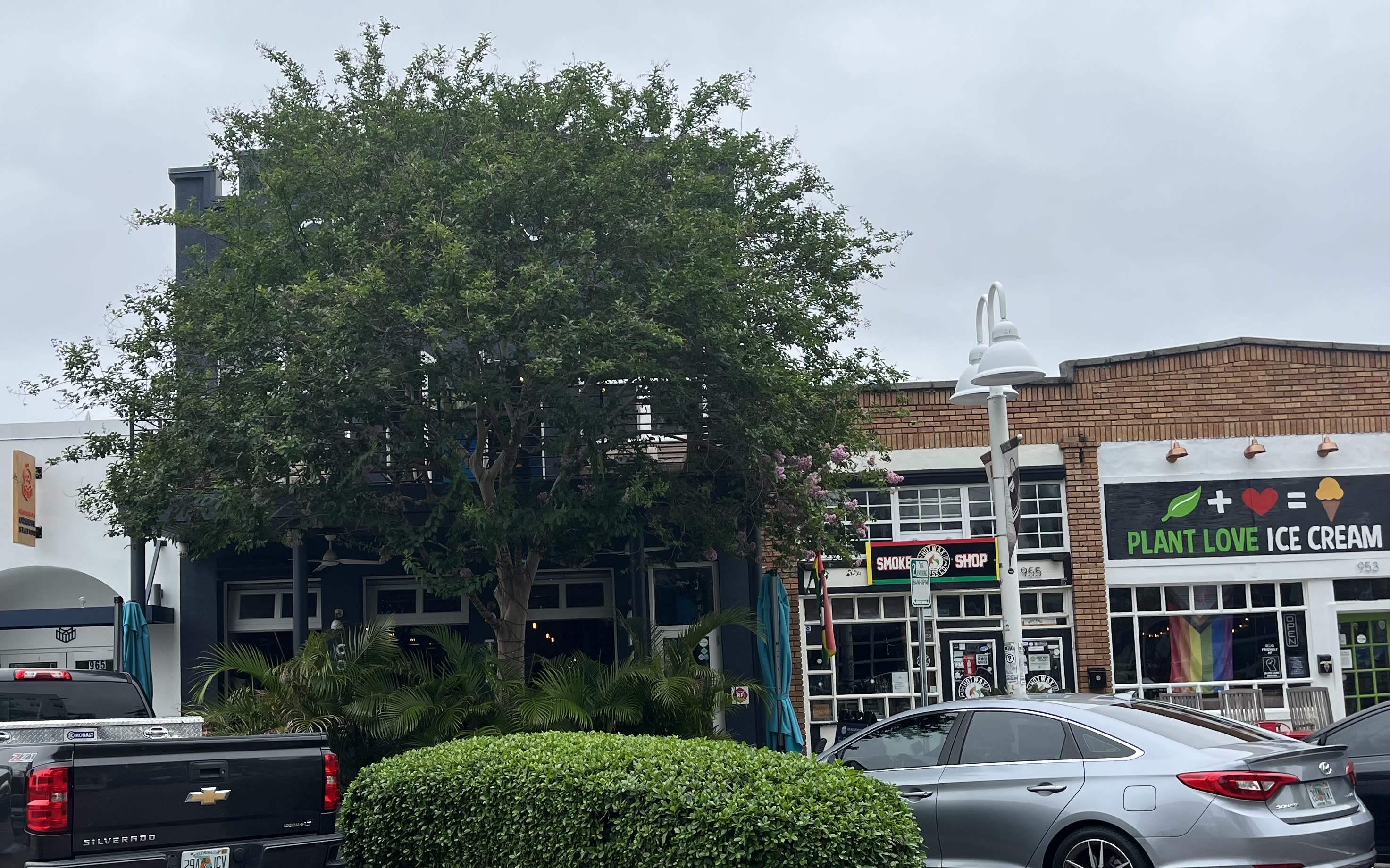 Live Music with Mo and Mary Mac at Grassroots St. Pete - checkwhatsgood