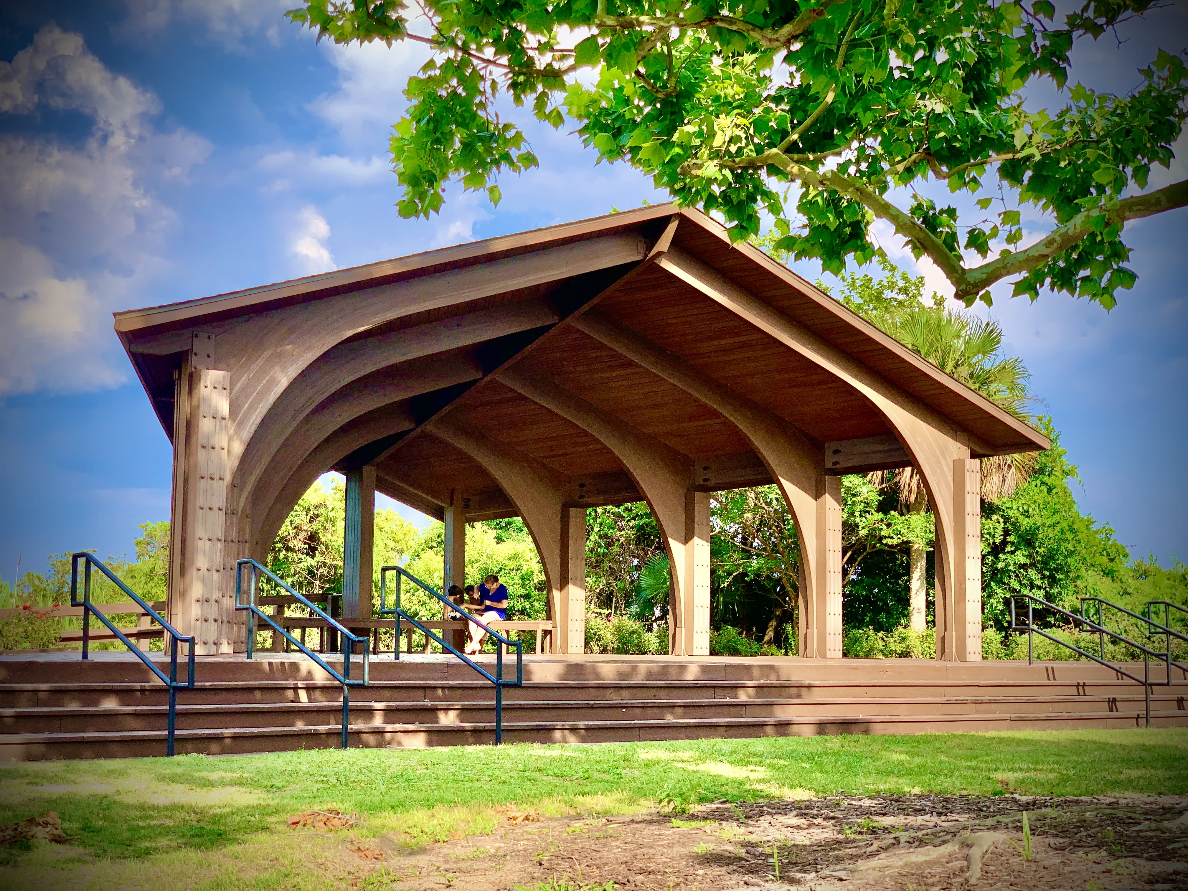 Movies in the Park - checkwhatsgood