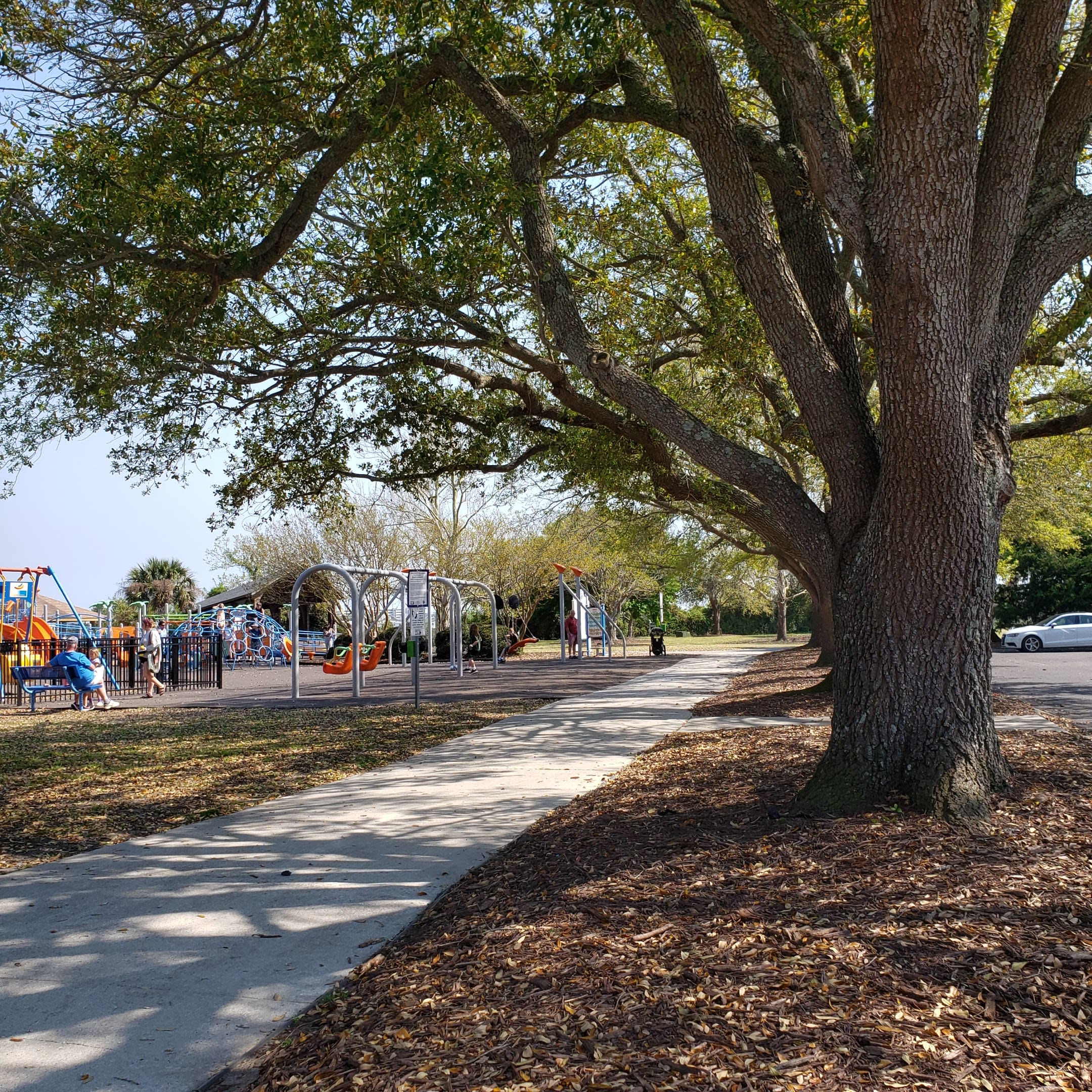 Movies in the Park - checkwhatsgood