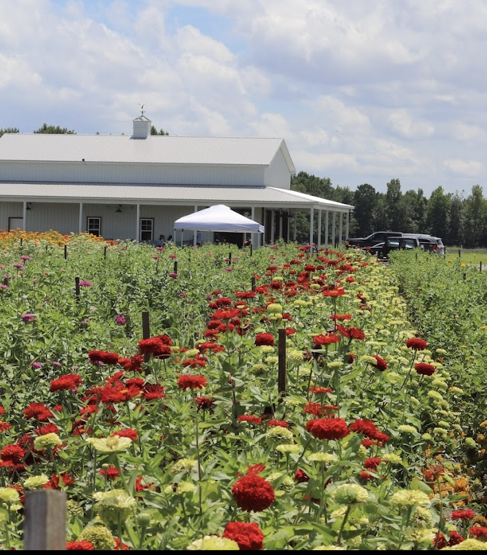 Trask Family Farm - checkwhatsgood