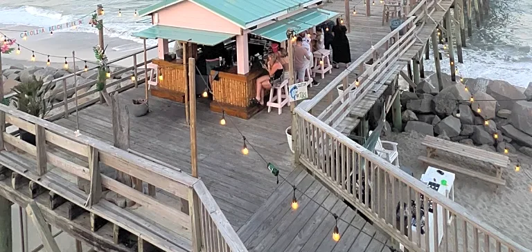 Private Beach Bonfire Pit Experience - checkwhatsgood