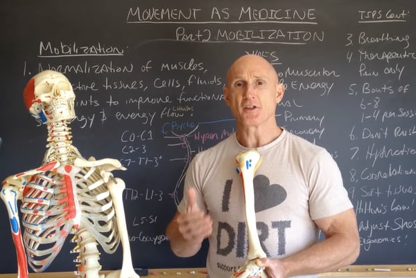 Mobilization: Movement as Medicine – CHEK INSTITUTE