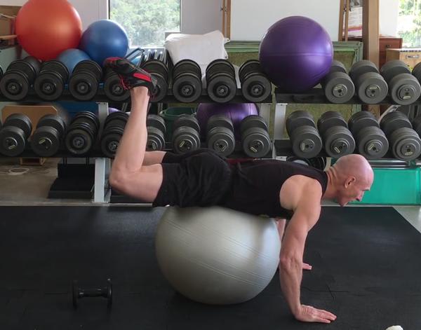 Protect Your Back With The Reverse Hyperextension Exercise – CHEK INSTITUTE