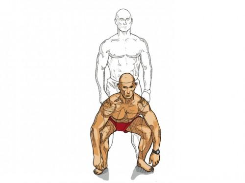 Working In 101: Why & How to Work In – CHEK INSTITUTE