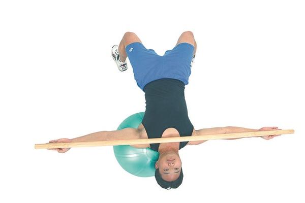 The Science of Exercise Selection: Part 2 – CHEK INSTITUTE