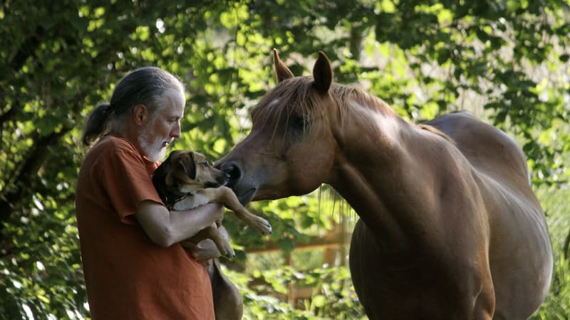 Episode 289 — Daniel Mapel: The Animal Essence of Life – CHEK INSTITUTE