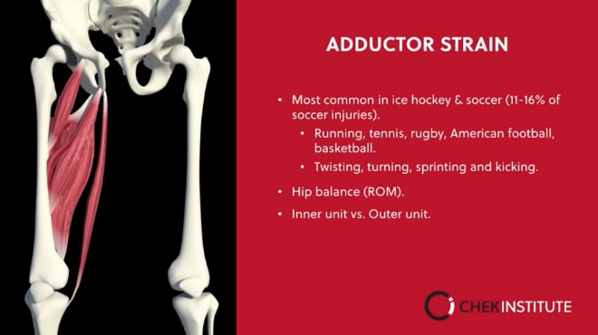 CHEK Approach To Lower Limb | Corrective Strategies For Hips, Knees ...