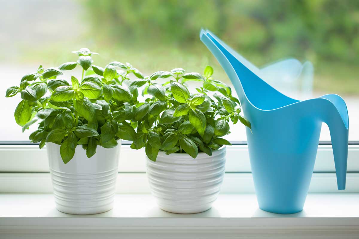 Garden Window Replacement & Installation | Chicago Window Guys