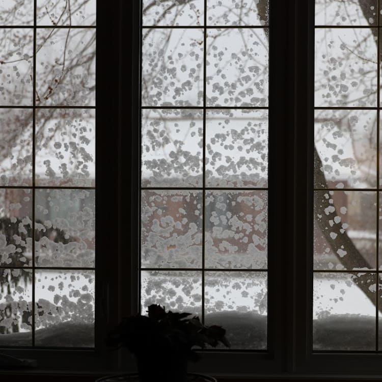 Home Windows And Door Blog | Chicago Window Guys