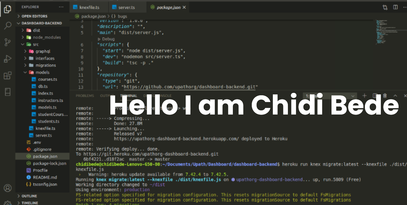 Chidibede Chidi Enwereji · Github