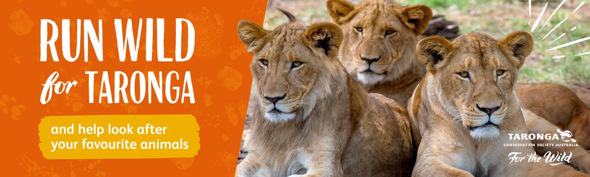 Taronga Conservation Society Australia - Run Wild For Taronga 2020