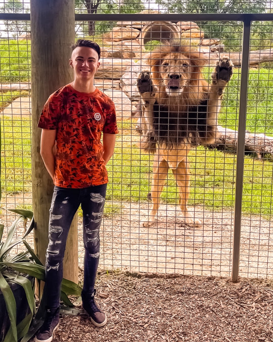 Support David & Mikey and make a donation to help Taronga.