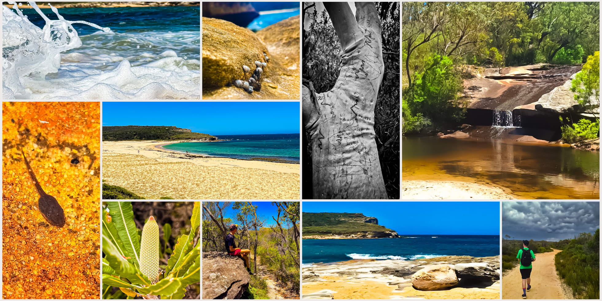 Support David & Mikey and make a donation to help Taronga.