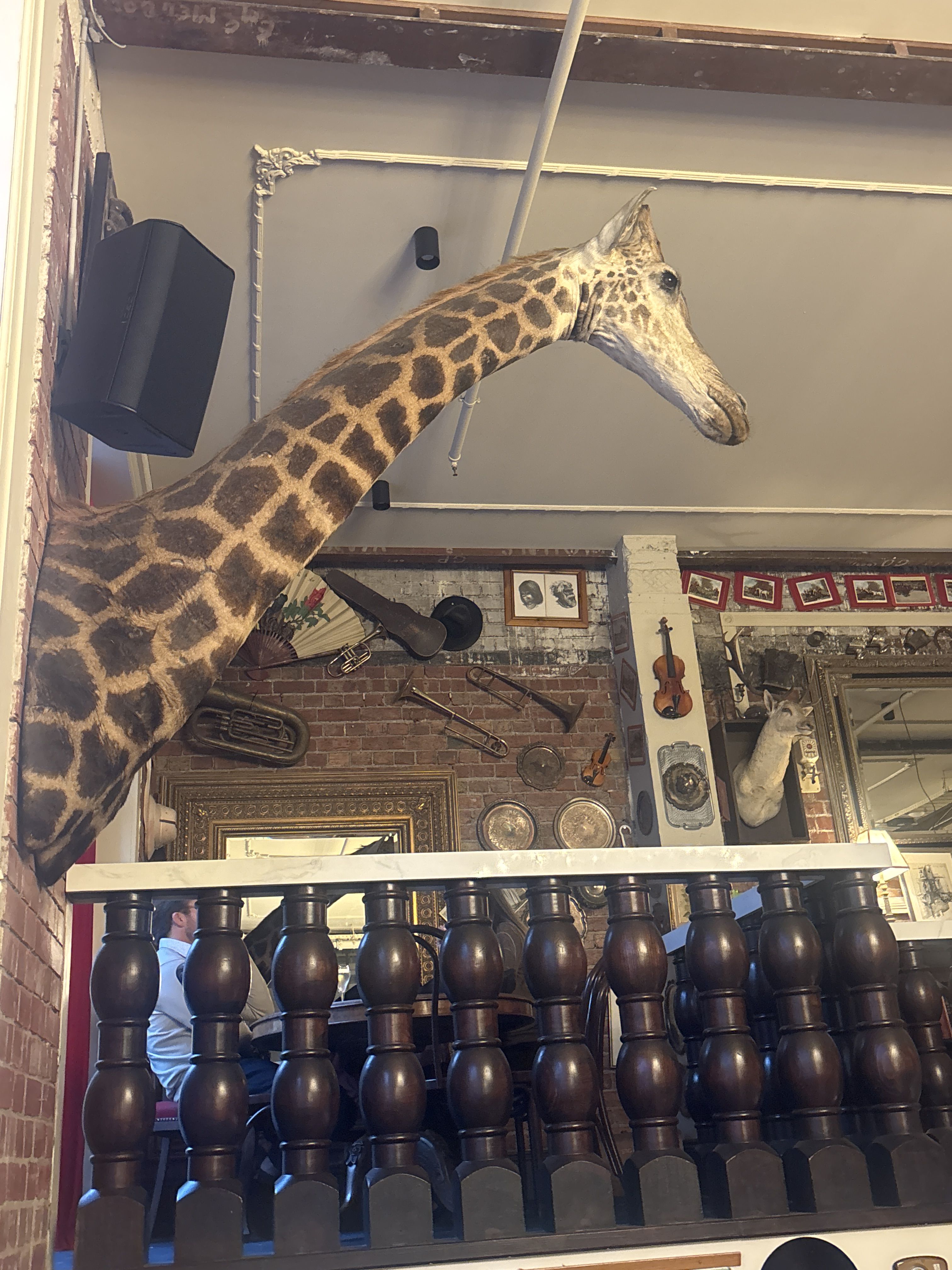 Support Blind spot-Head checkers this Dry July and make a donation