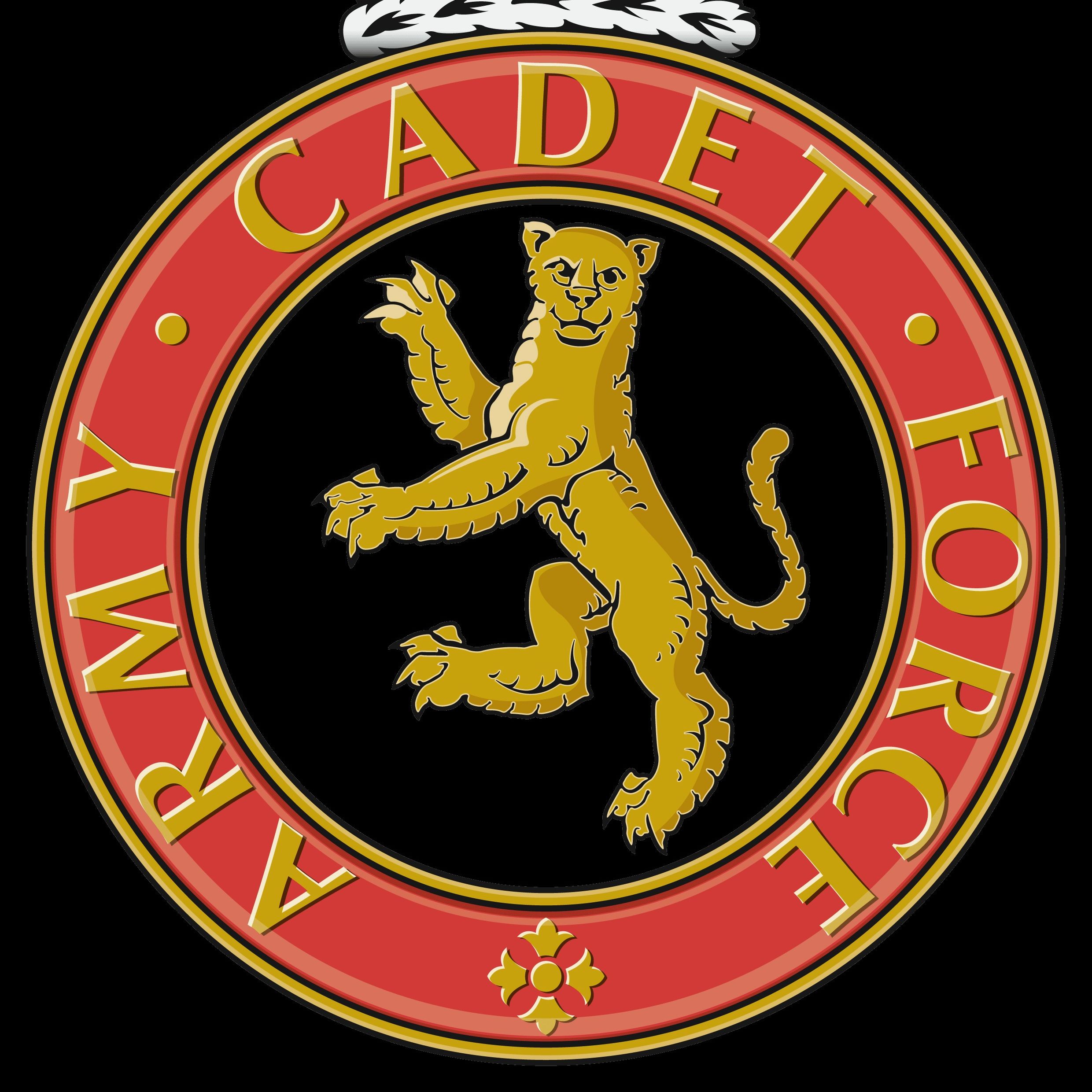 Support Northern Ireland Army Cadet force this Christmas and make a ...