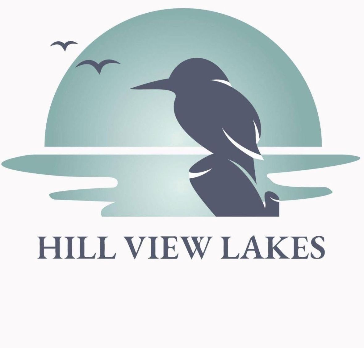 HILL VIEW ARRAS are taking part in Darts Marathon to raise funds for ...