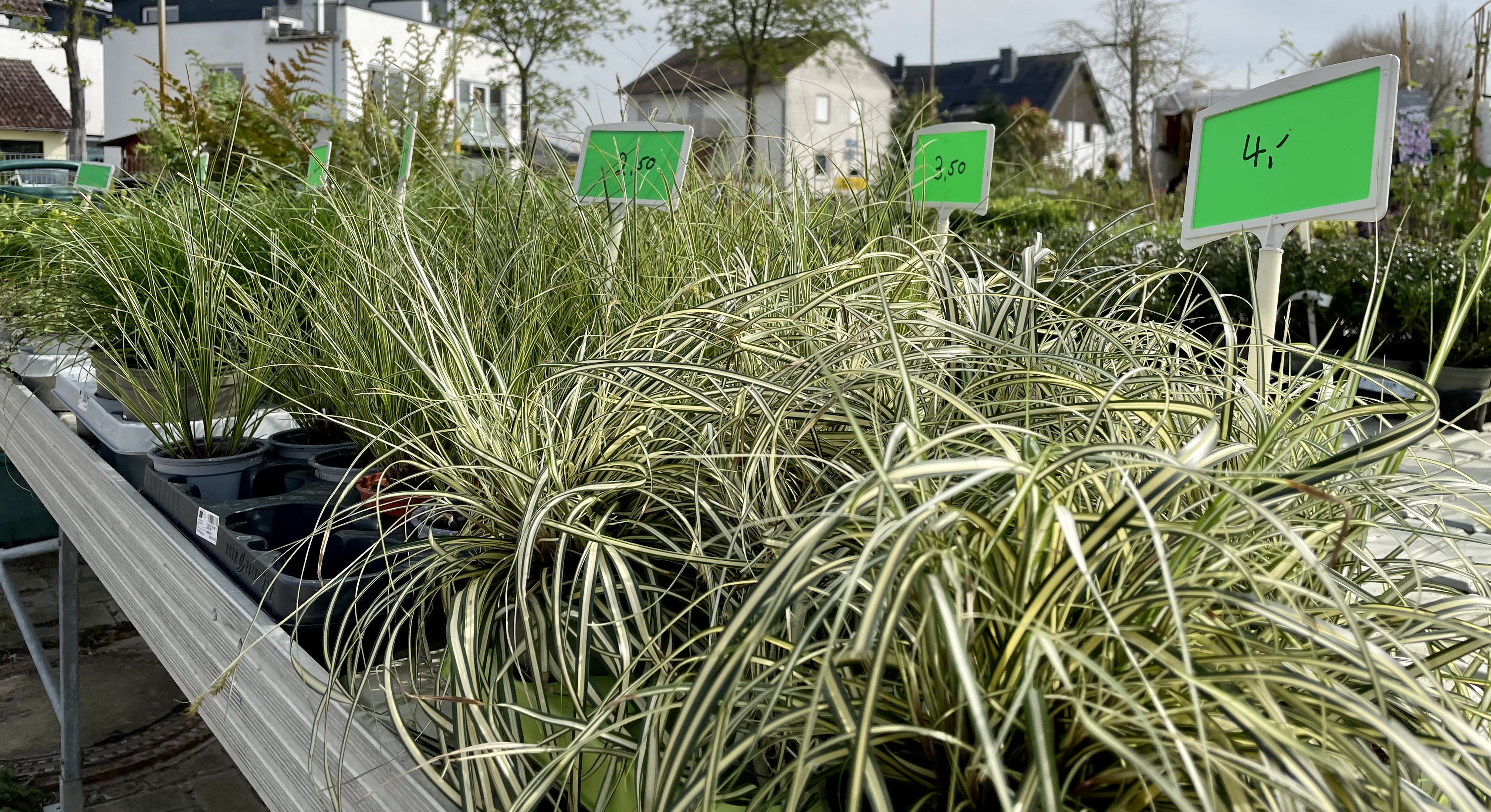 Gartencenter Florian Feth Nauheim, Mainz und Darmstadt