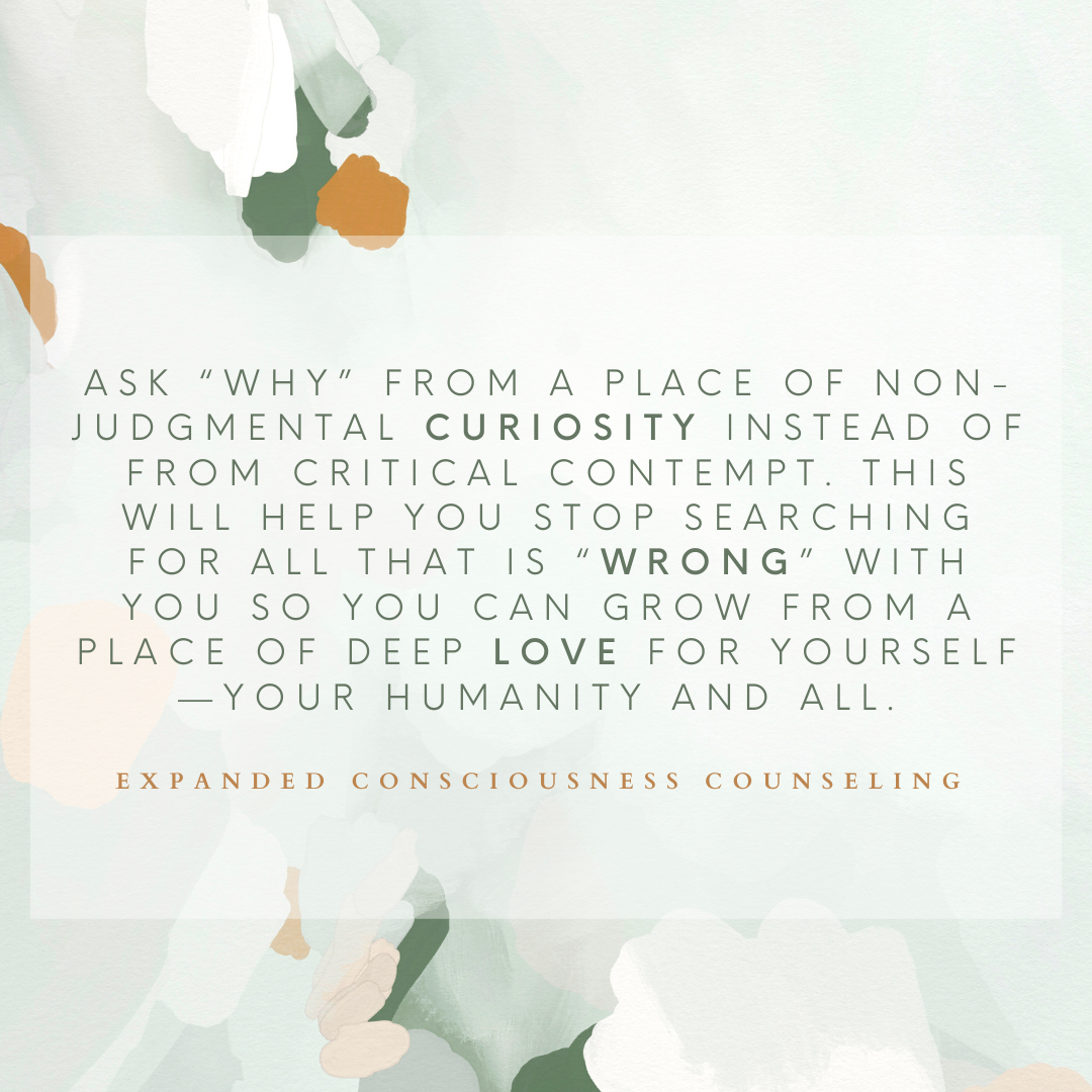 Nicole Iwule LMHC is a therapist serving FL and GA.