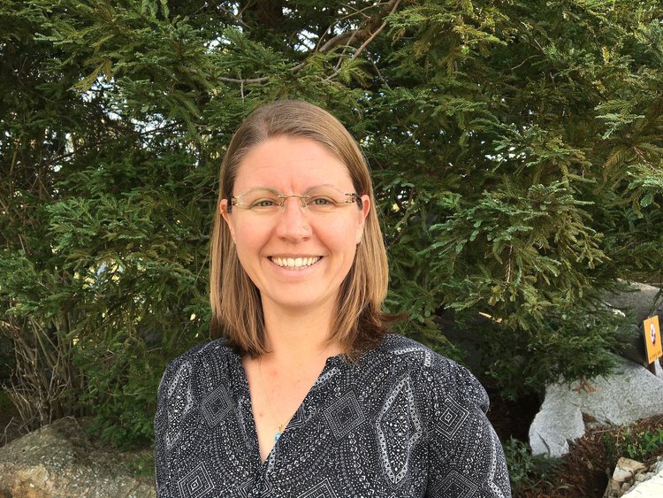 Heather Scott, Associate Marriage and Family Therapist offers therapy under clinical supervision ...