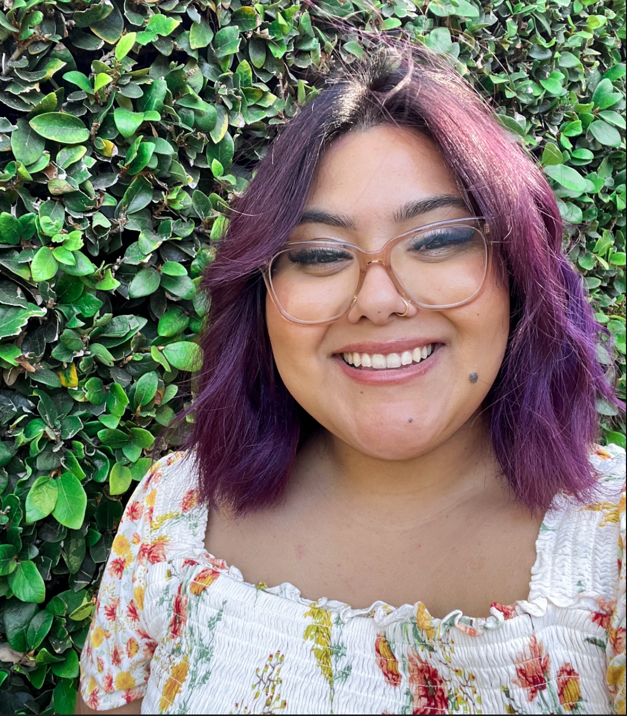 Stephanie Hardison LCSW is a therapist serving CA.