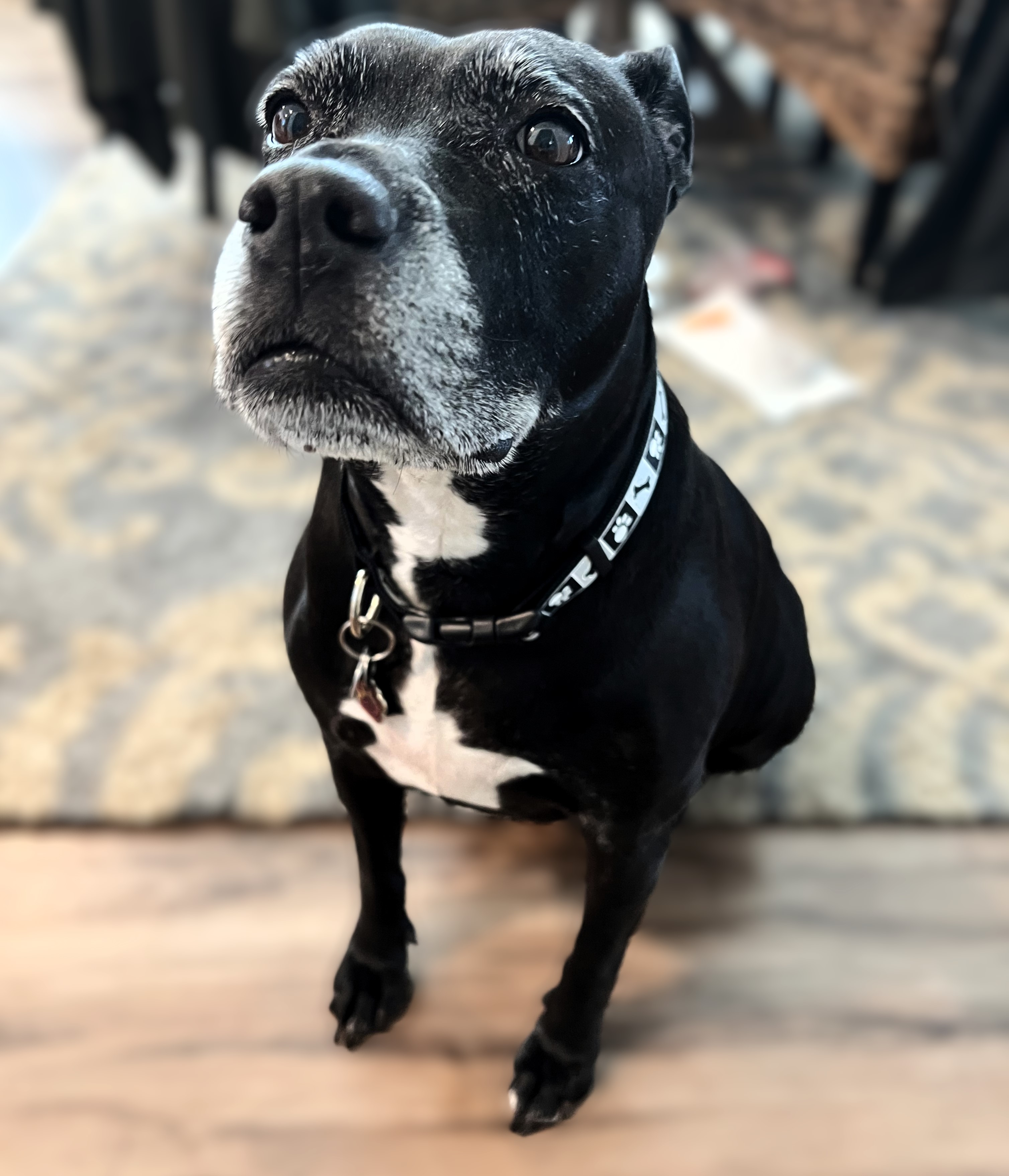 Michelle Colson, Licensed Professional Counselor Associate offers ...