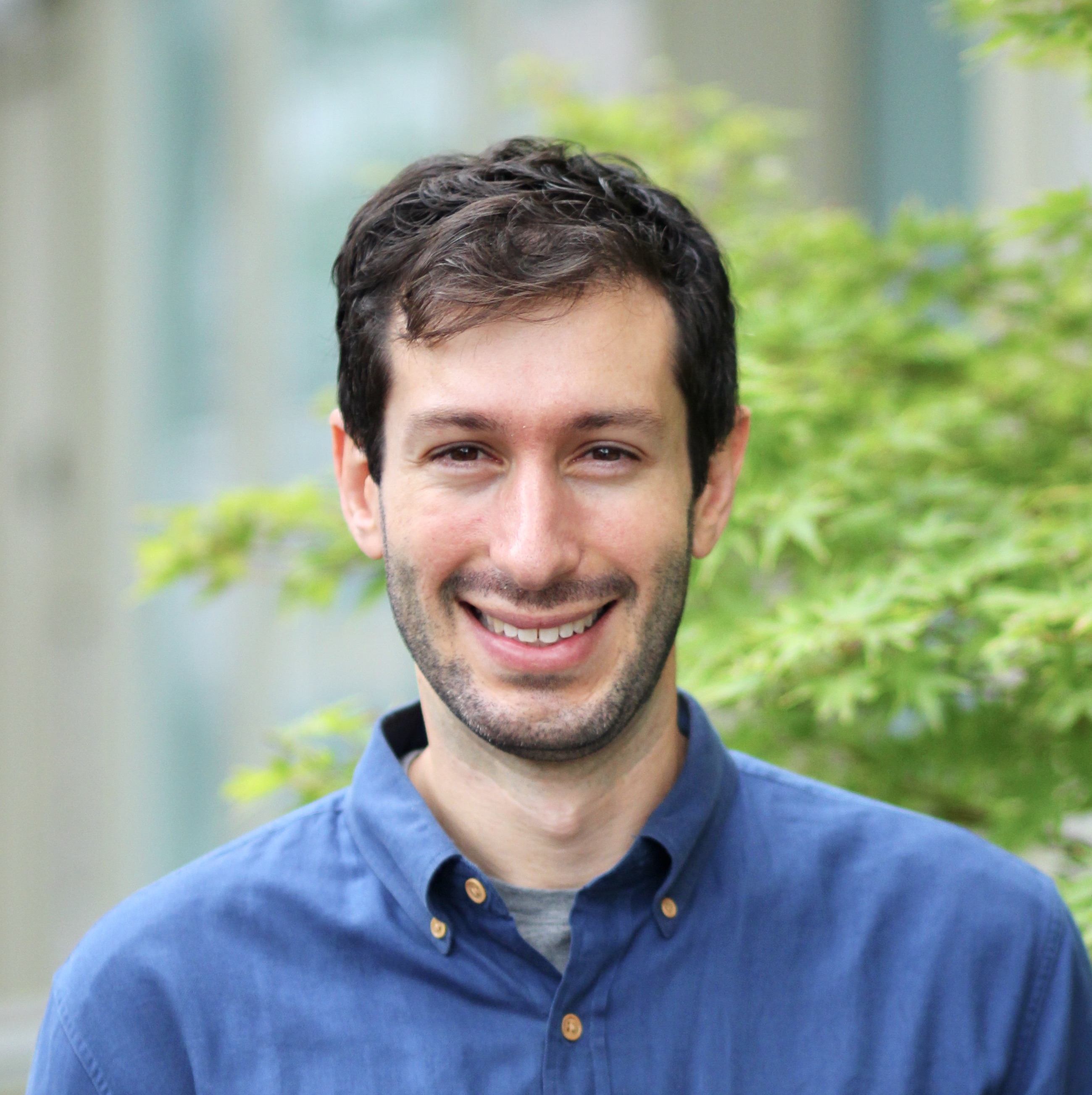 Dr. Matthew Scult Licensed Psychologist is a therapist serving NY.