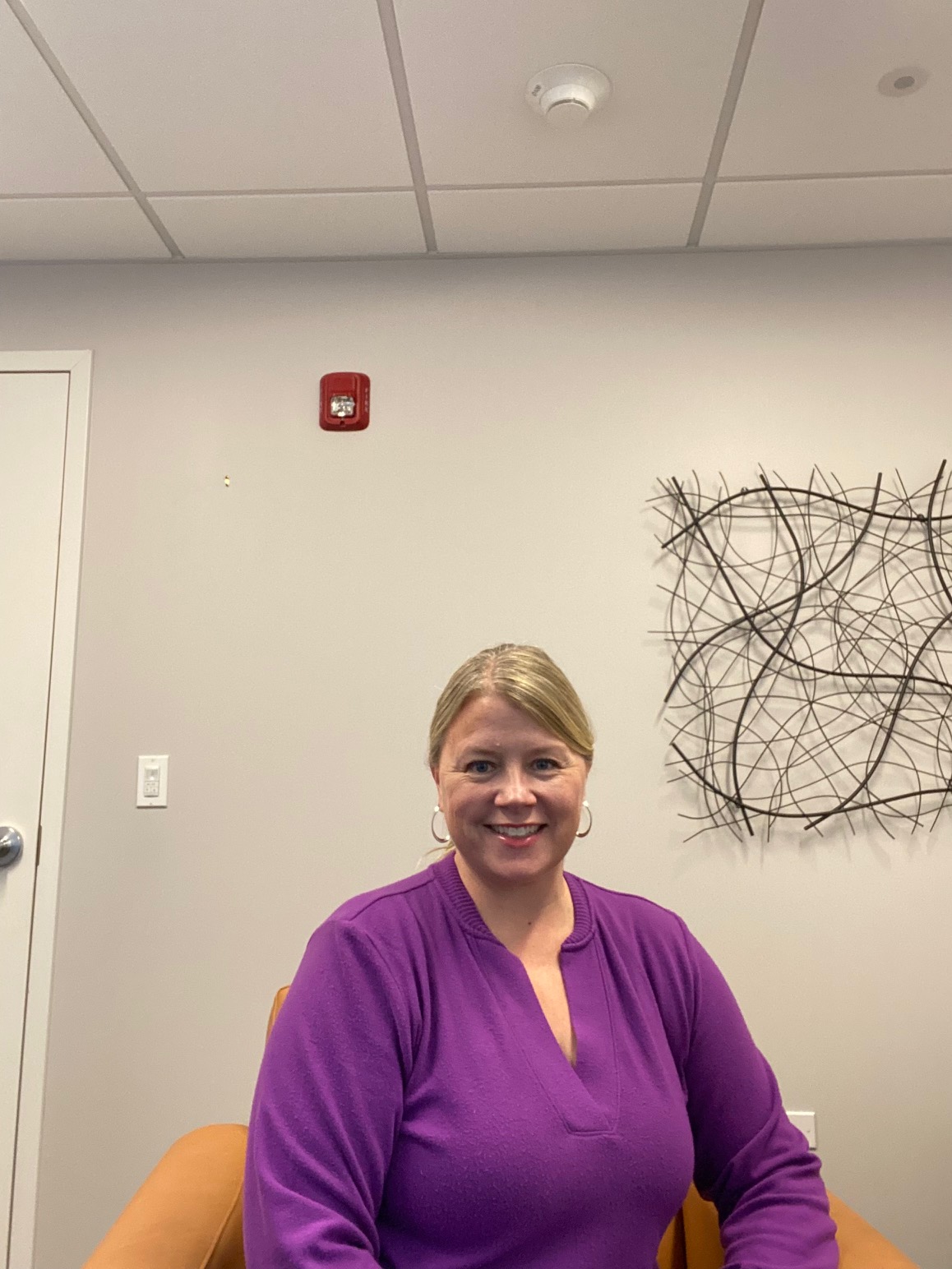 Mrs. Erika Figgers LCSW is a therapist serving IL.