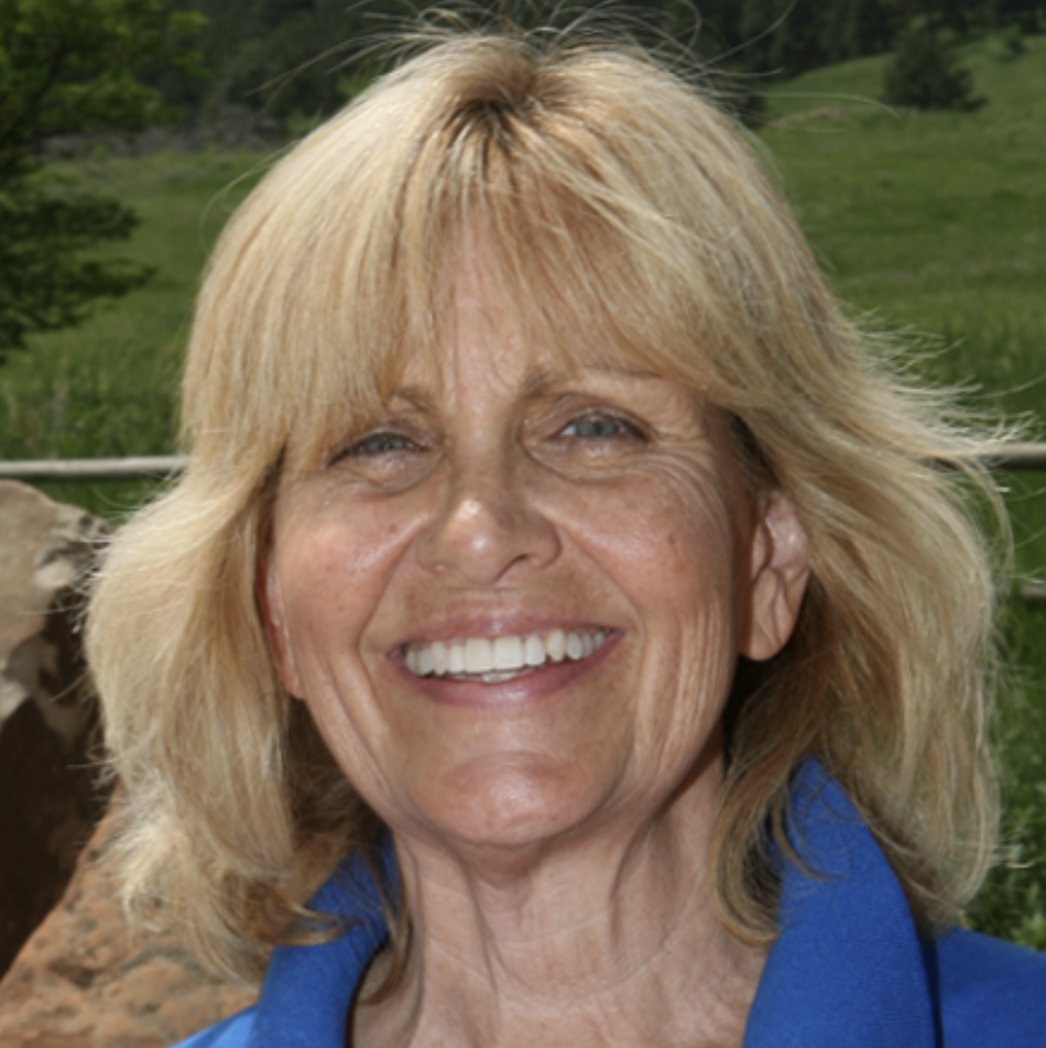 Carol Heiden, Licensed Professional Counselor Candidate offers therapy ...