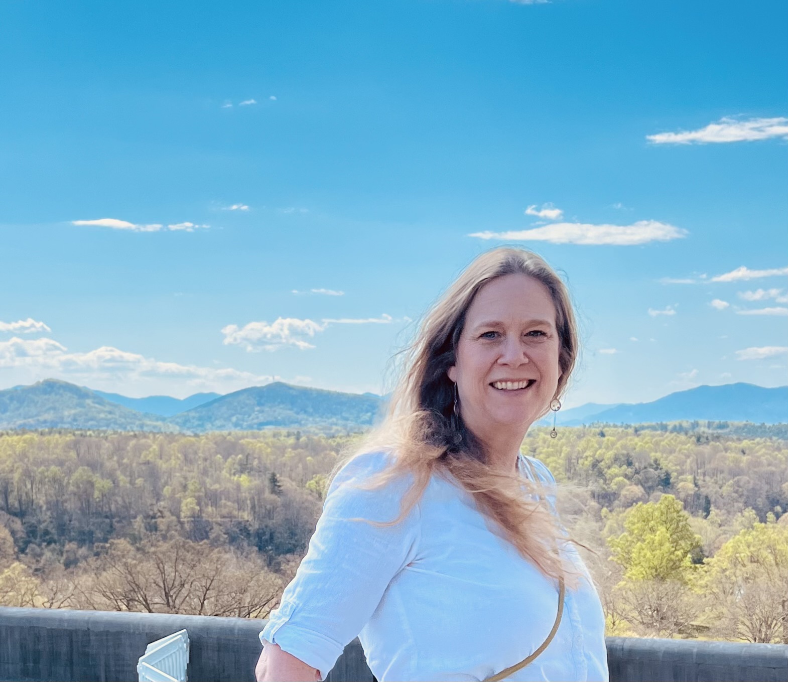 Susan Vos-Dupree LCSW is a therapist serving NC and LA.