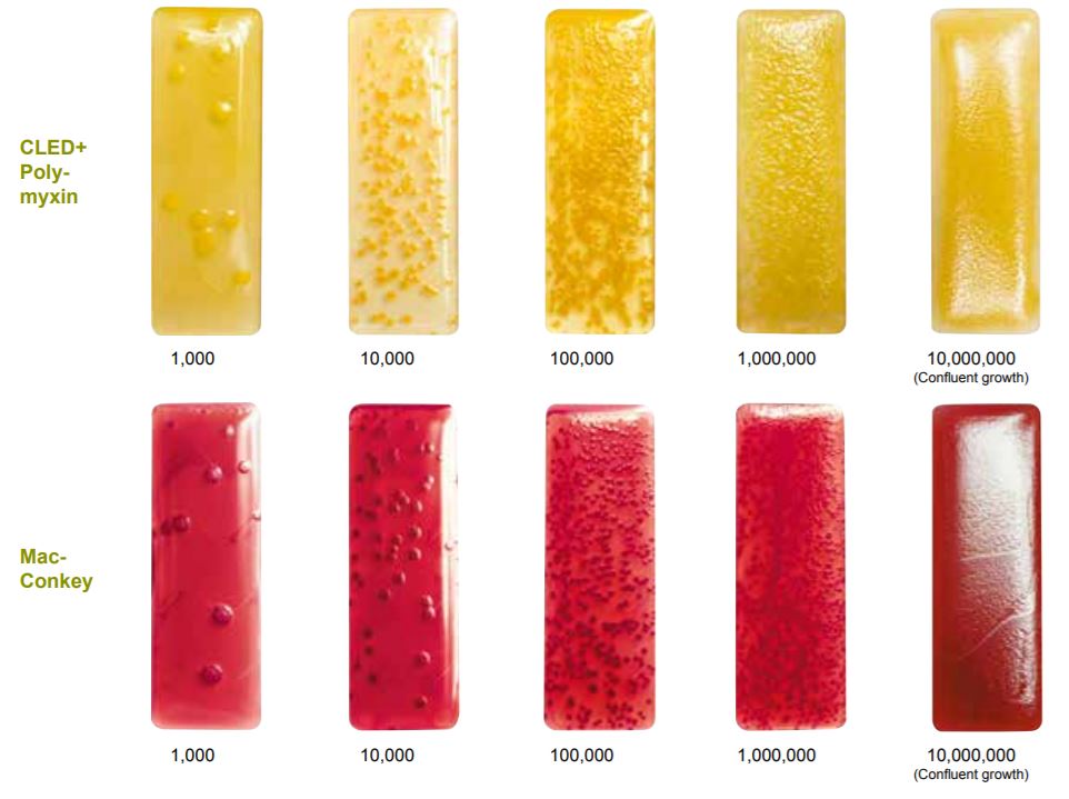 Lifesign 1003 - Uricult CLED+Polymyxin/MacConkey, 10/BX - CIA Medical