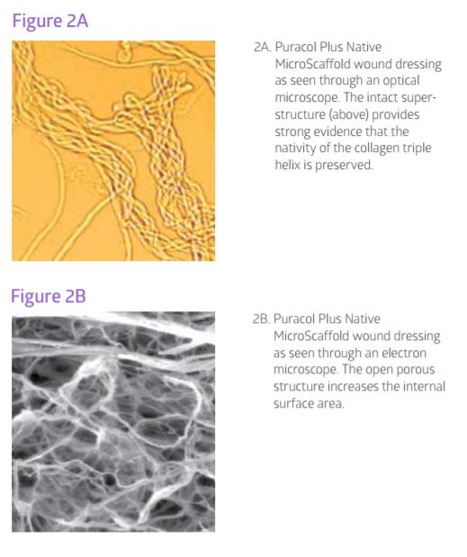 Medline MSC861X8EP - DRESSING, COLLAGEN, PURACOL PLUS, ROPE, 10/BX ...