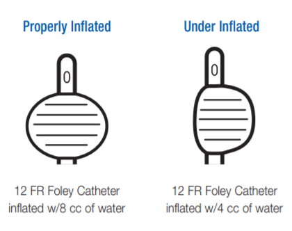 Deroyal 81-080516 - Foley Kit w/16FR Catheter, 10/Cs - CIA Medical