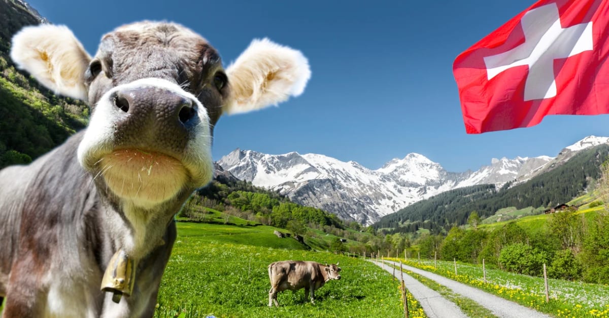 Länder mit Vorwahl 0041 +41 - Schweiz, … - Placetel