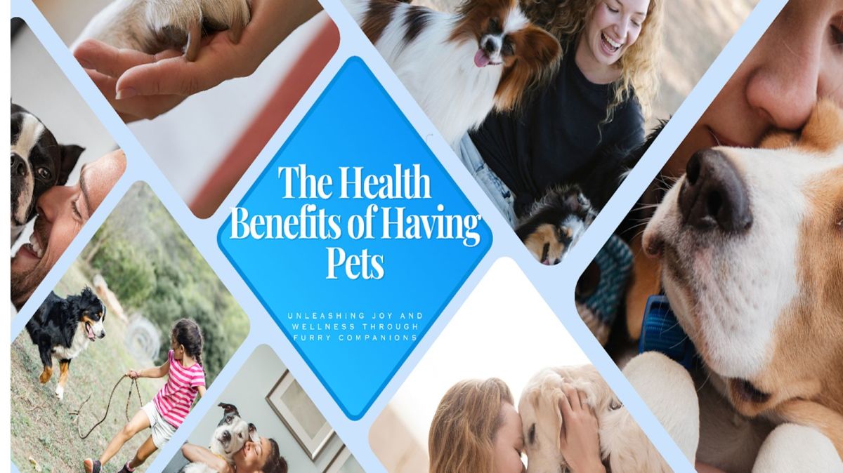 The Health Benefits of Having Pets