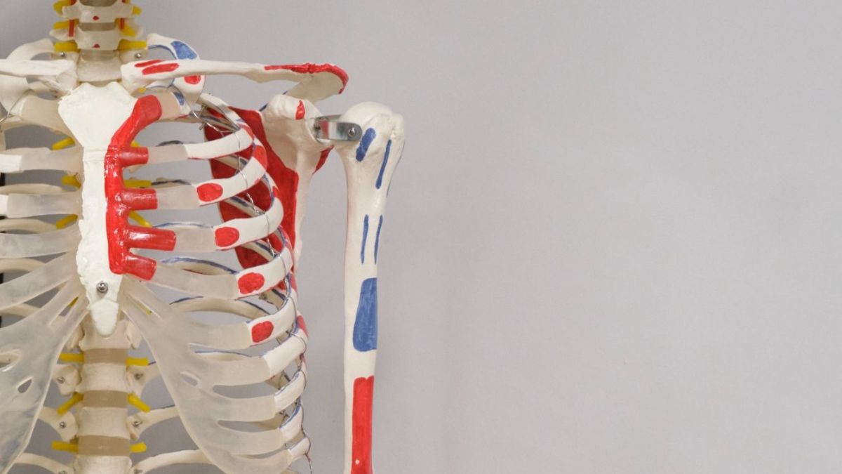 Building Better Bones