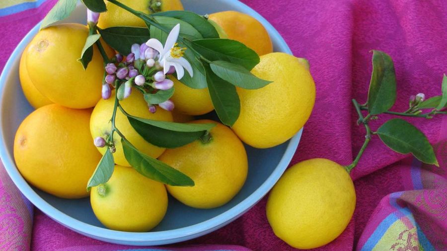 Learn About All Things Meyer Lemons