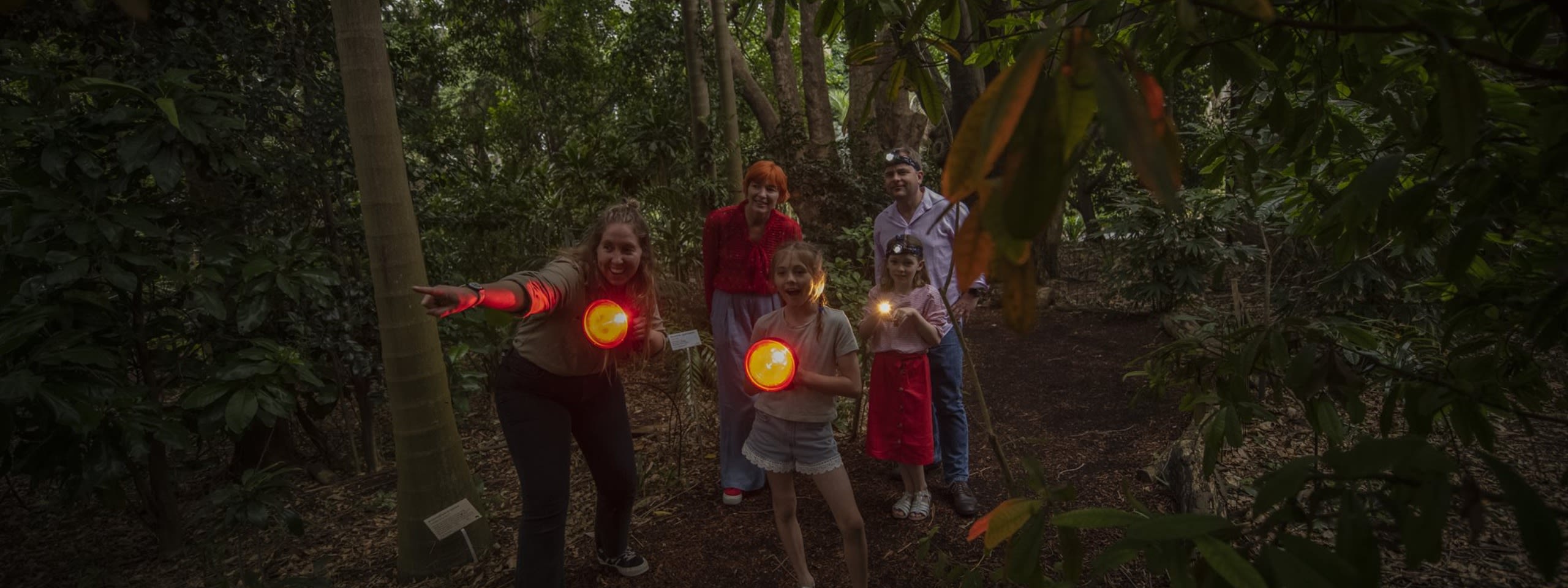 Sunset spotlight tour | City of Sydney - What’s On