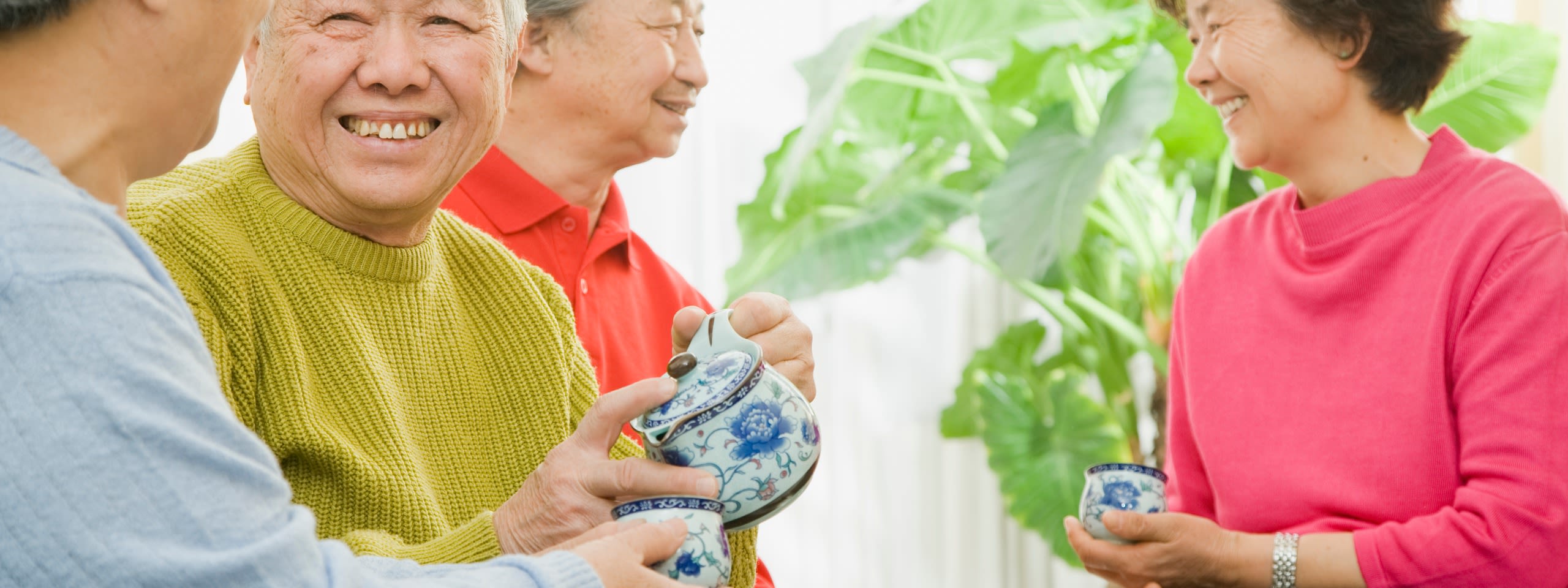 Social group for Chinese speaking seniors | City of Sydney - What’s On