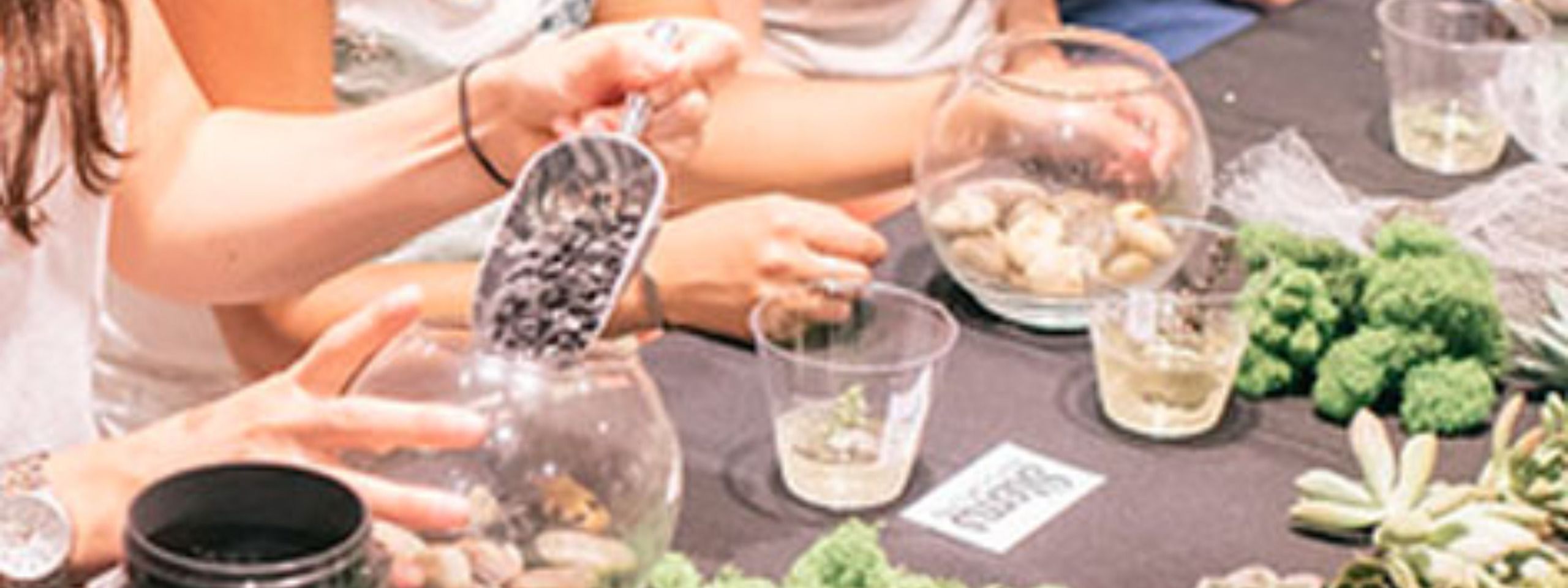 Succulent Terrarium workshop | City of Sydney - What’s On