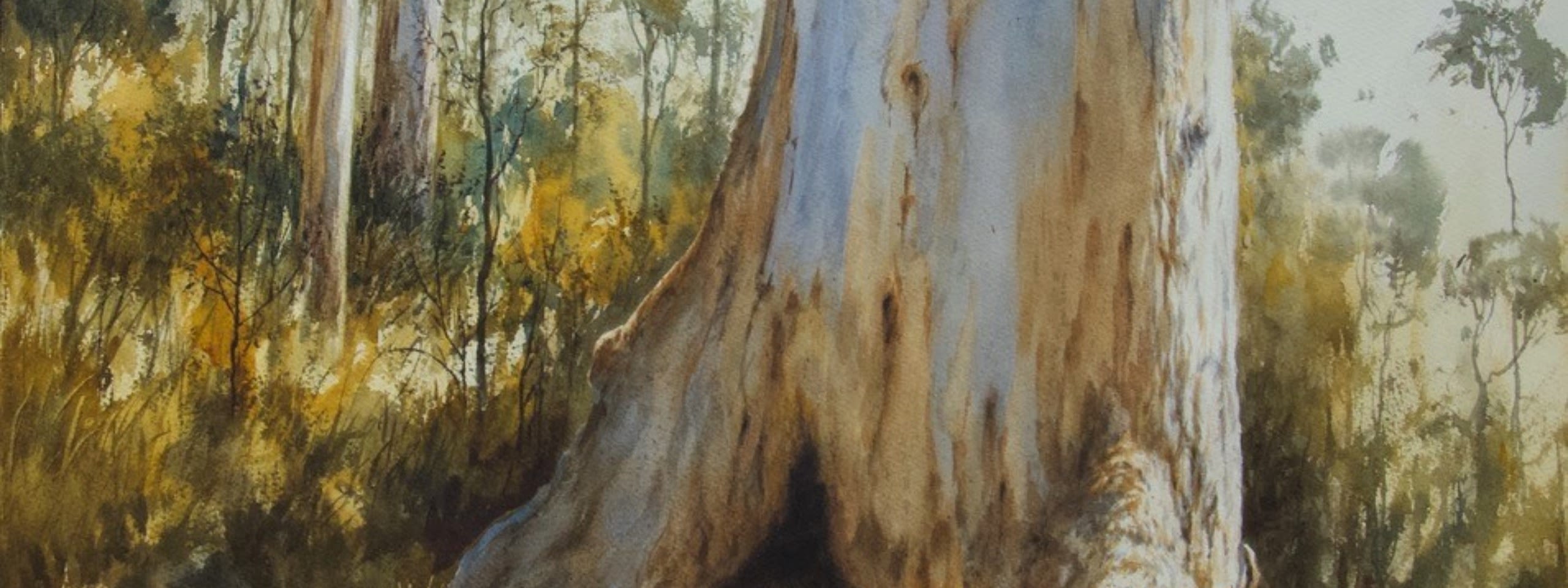 Guy Troughton: Brushes with Nature | City of Sydney - What’s On