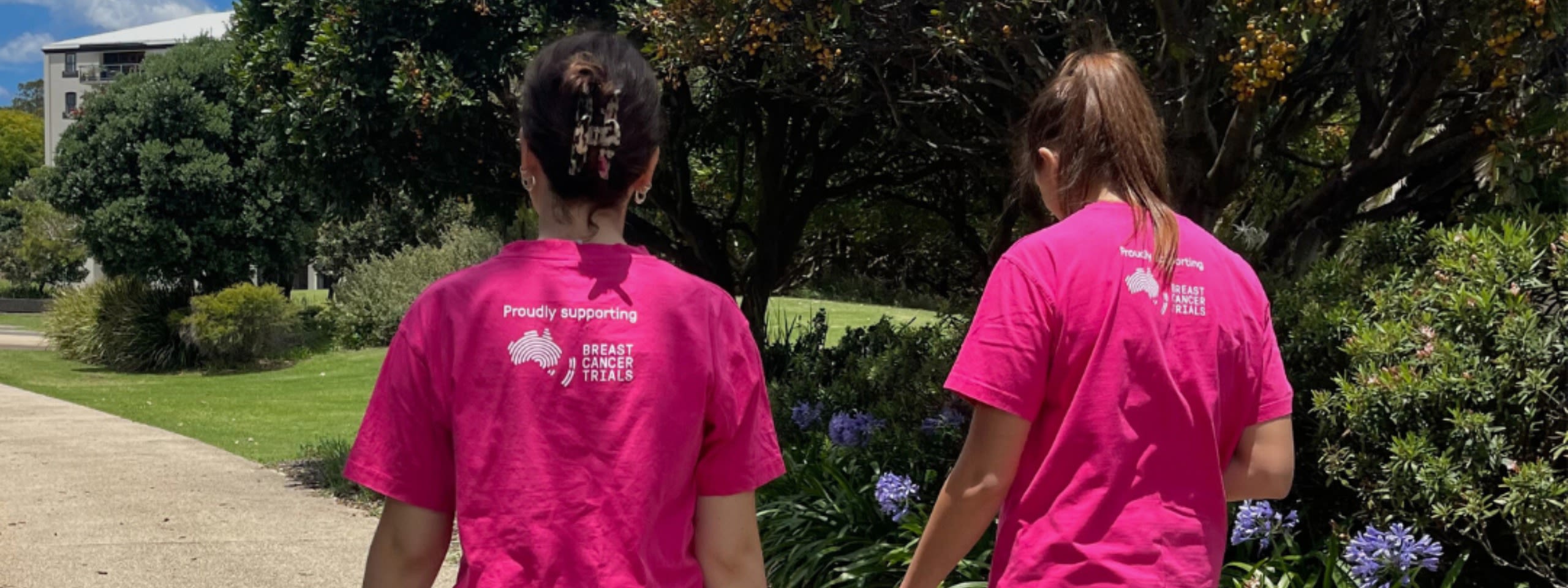 57km Dog walk challenge for breast cancer research | City of Sydney ...